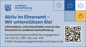 Main-Echo - Sonderthemen