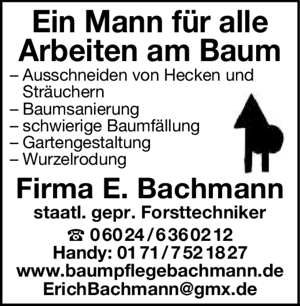 Markus-Markt Schöllkrippen